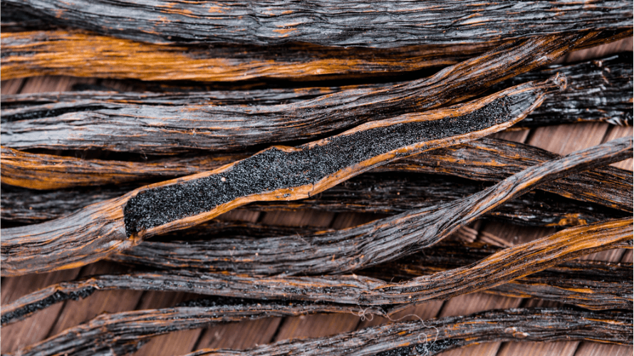 IFF Flavor Focus: Making Affordable and Sustainable Vanilla | IFF Taste