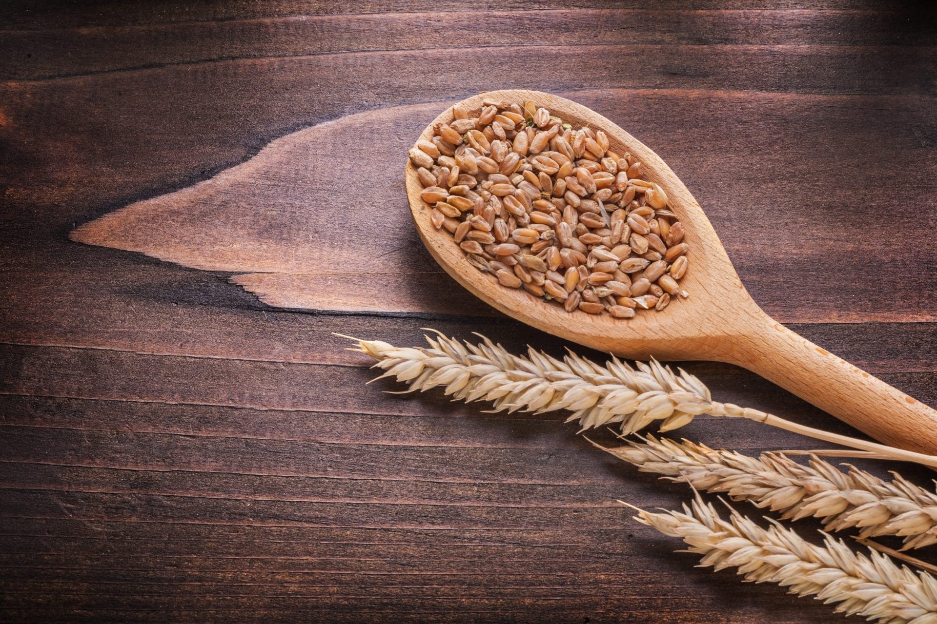Three Global Trends Shaping the Grain Processing Industry