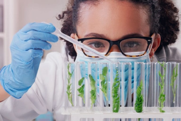 About Us - IFF Overview