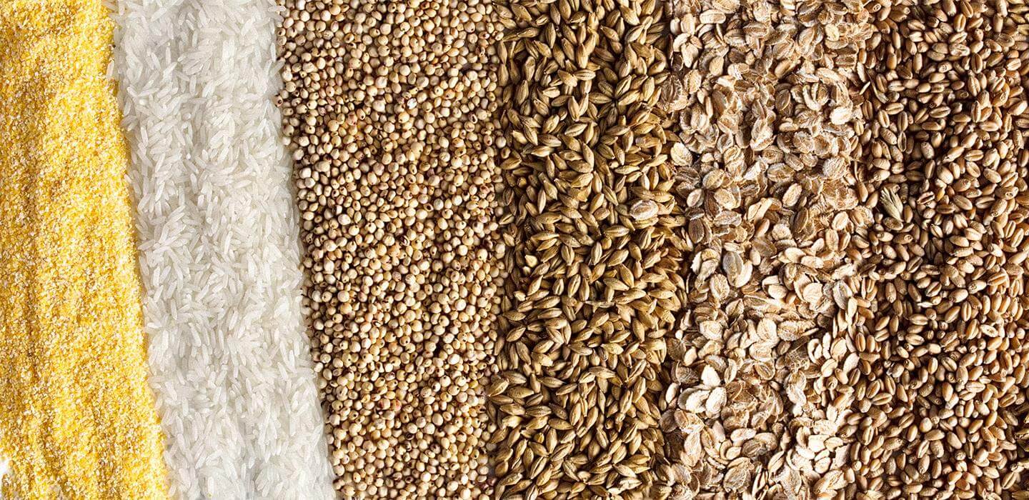 ALPHALASE® enzyme for optimized extraction and efficiency