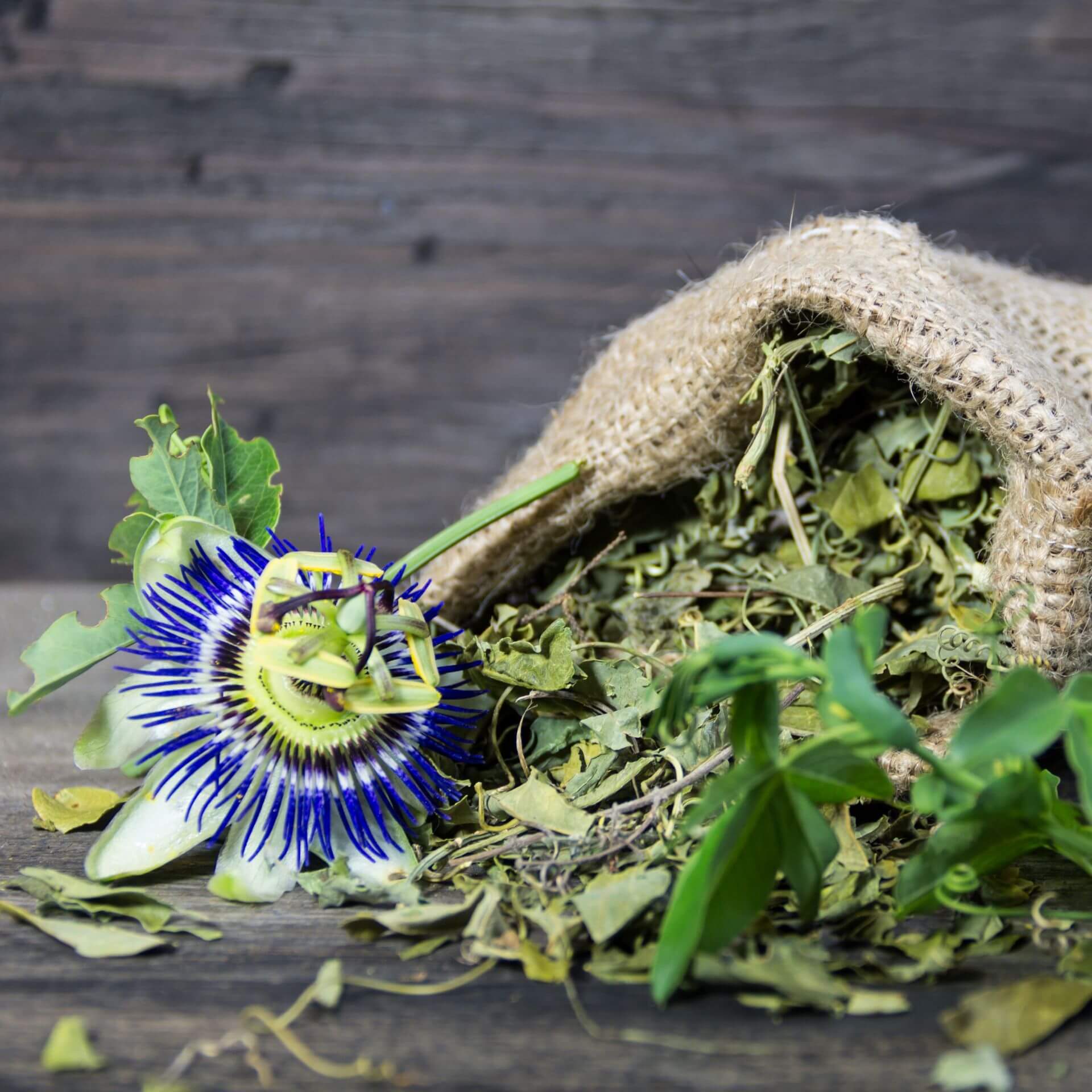 IFF Health Sciences | Microbiome & Bioscience