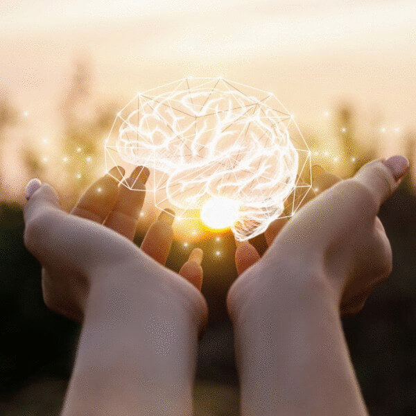 Brain Health Support for All Life Stages | IFF