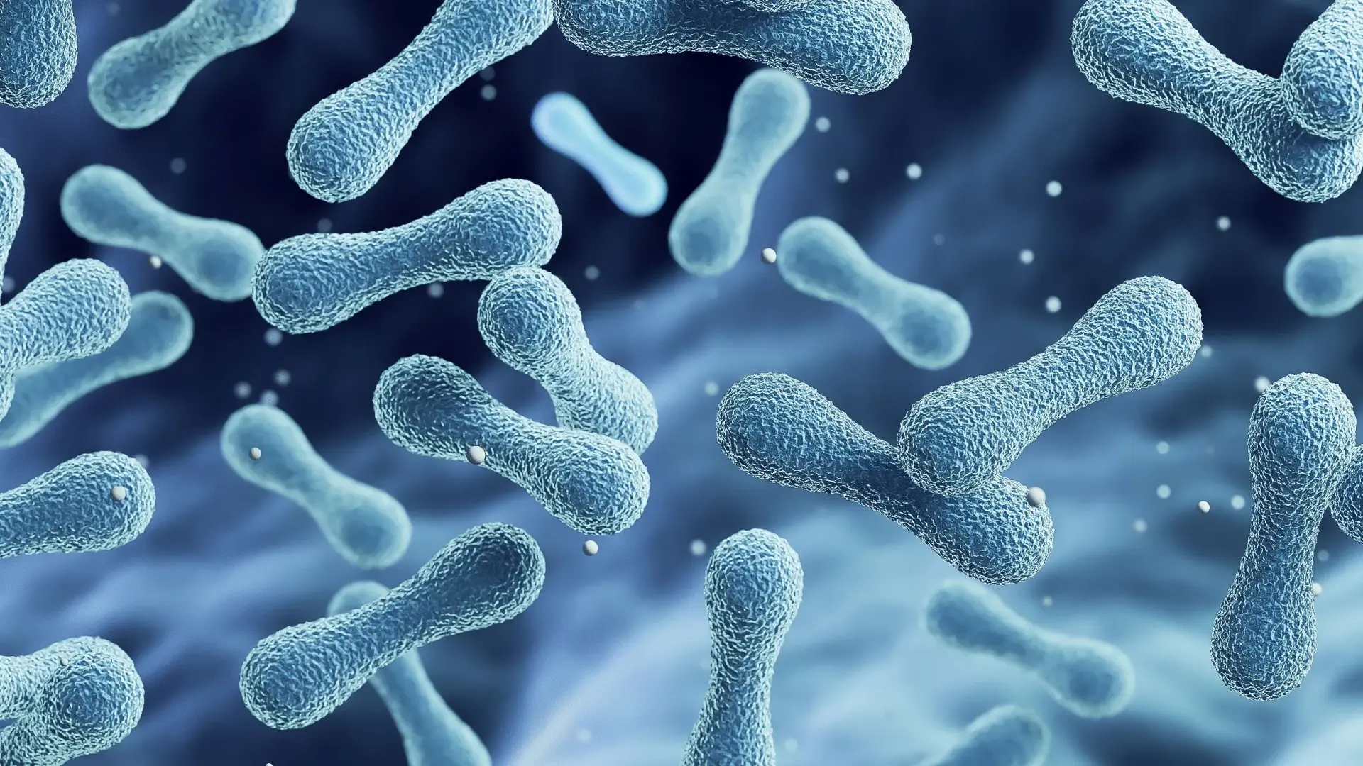 HOWARU® Probiotics – IFF Health Sciences