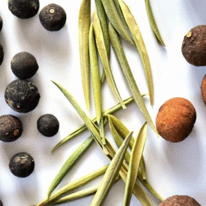 CARE4U® Botanicals – IFF Health Sciences