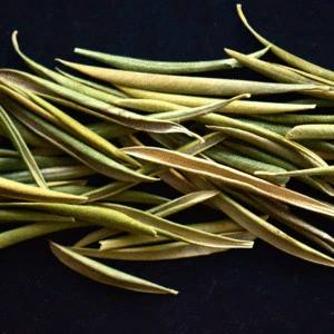 CARE4U® Botanicals – IFF Health Sciences