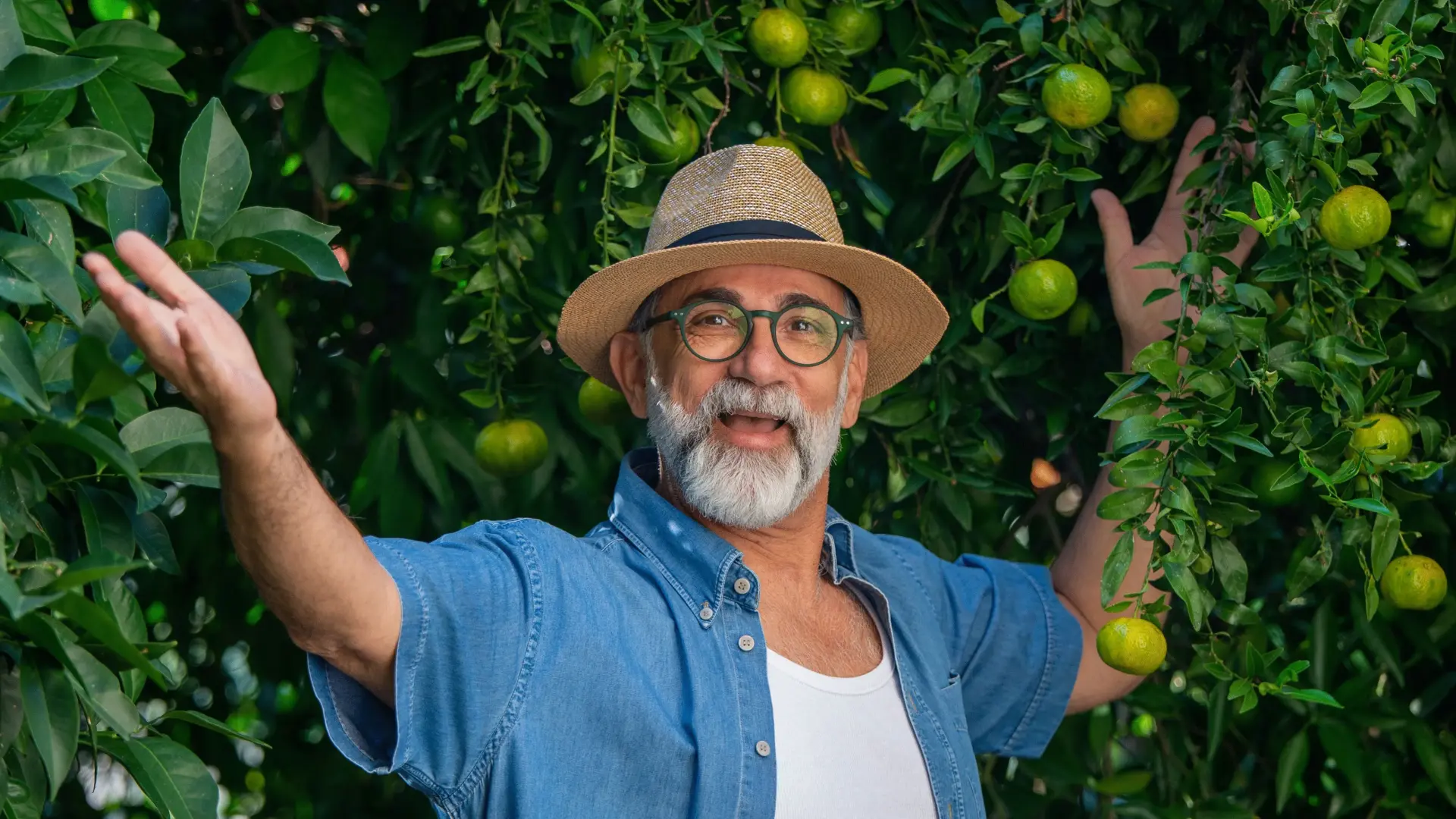 Metabolic Health – IFF Health Sciences