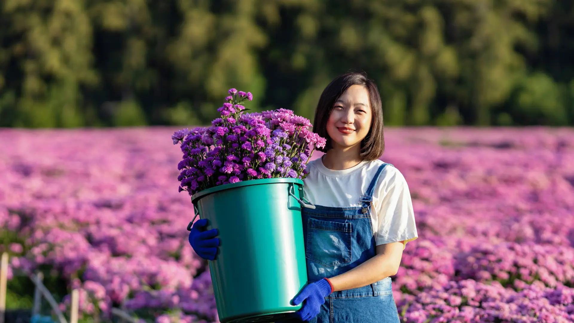 Beauty & Wellness Solutions with Bioscience Power | IFF