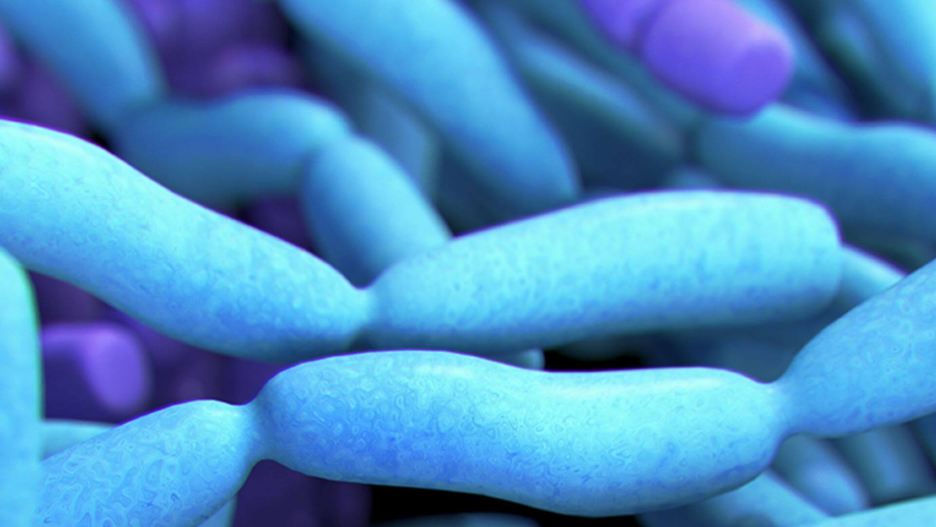 HOWARU® Probiotics – IFF Health Sciences