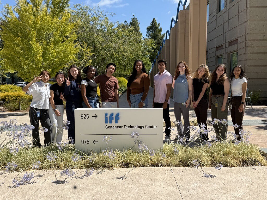 Careers at IFF