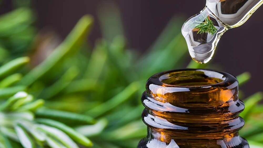 Antioxidants & Plant Extracts | IFF Food Protection