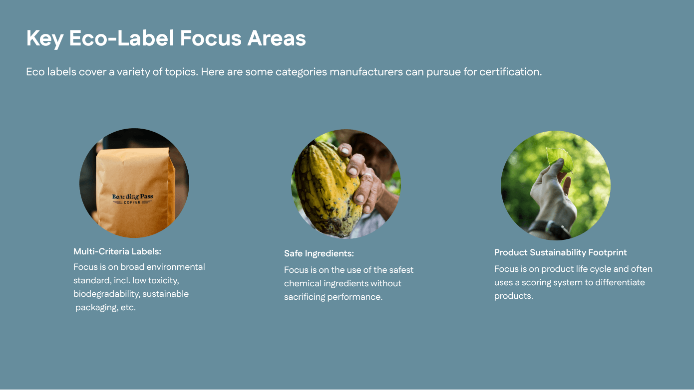 Clean Insights 6 - IFF