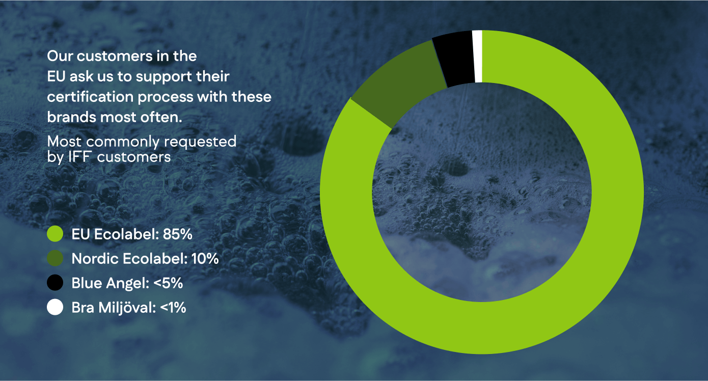 Clean Insights 6 - IFF