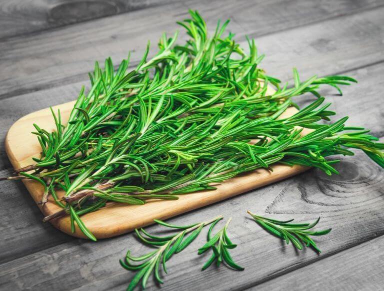 Antioxidants & Plant Extracts | IFF Food Protection