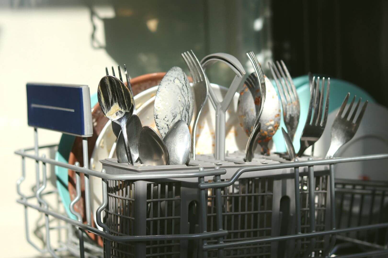 The Dish Issue 3 - IFF