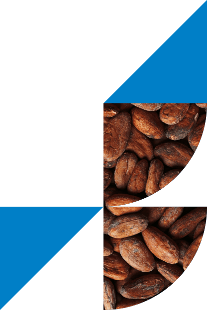 Cocoa Solutions | IFF Taste