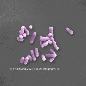 HOWARU® Signature Strains – IFF Health Sciences