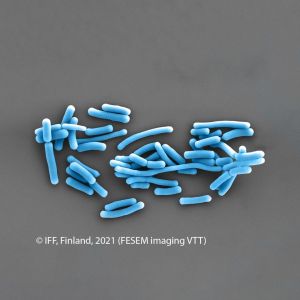 HOWARU® Restore Probiotic – IFF