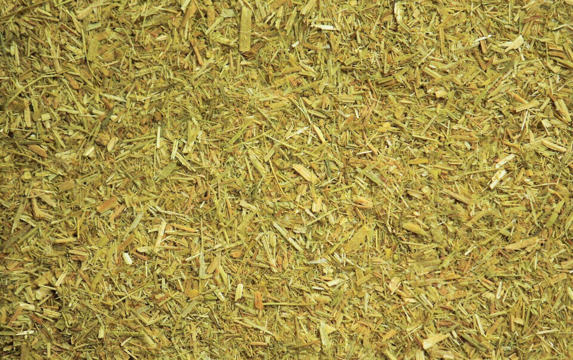 Neuravena® Green Oat Extract – IFF Health Sciences