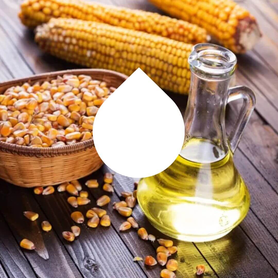 OPTIMASH for Optimal Corn Oil Recovery - IFF