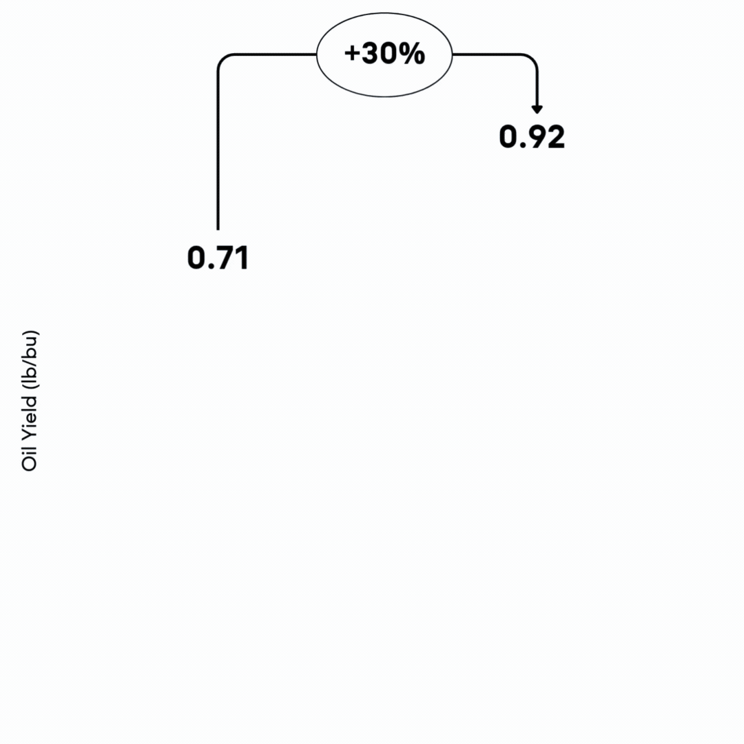 OPTIMASH for Optimal Corn Oil Recovery - IFF