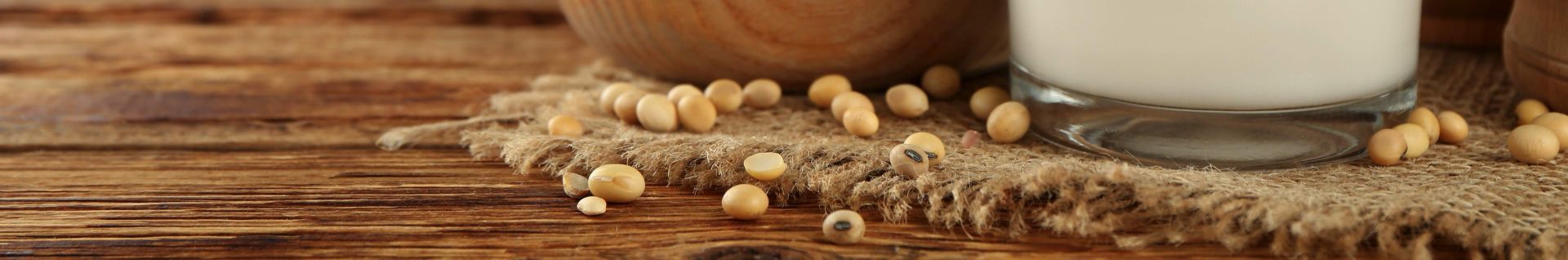 SOLAE SUPRO Soy Protein Isolates: A Dairy Protein Alternative | IFF Protein