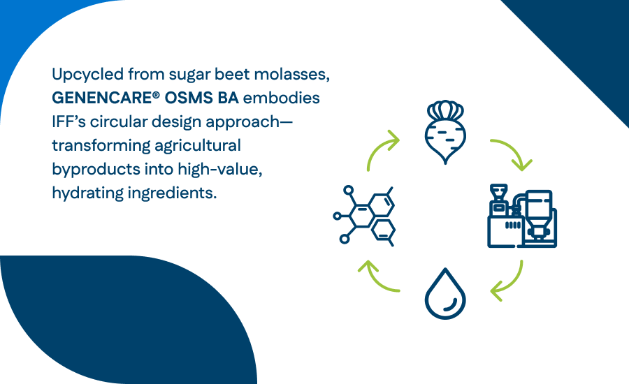 Betaine vs Surfactant Betaine Comparison Guide