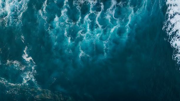 IFF Newsroom: Latest News, Updates & Press Releases